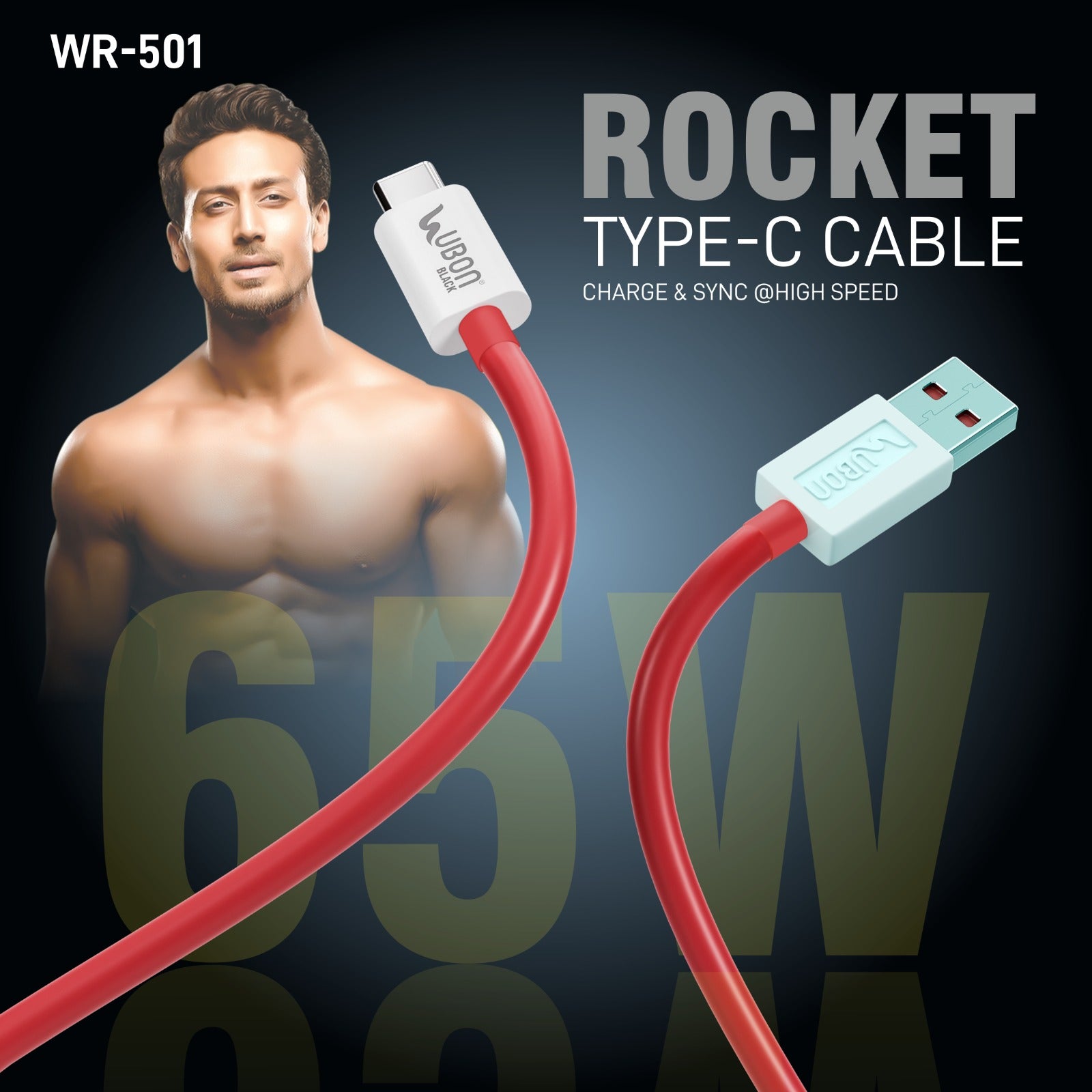 WR-501 - 1 meter, 65W High-Speed Charging Cable with Type-C port ...